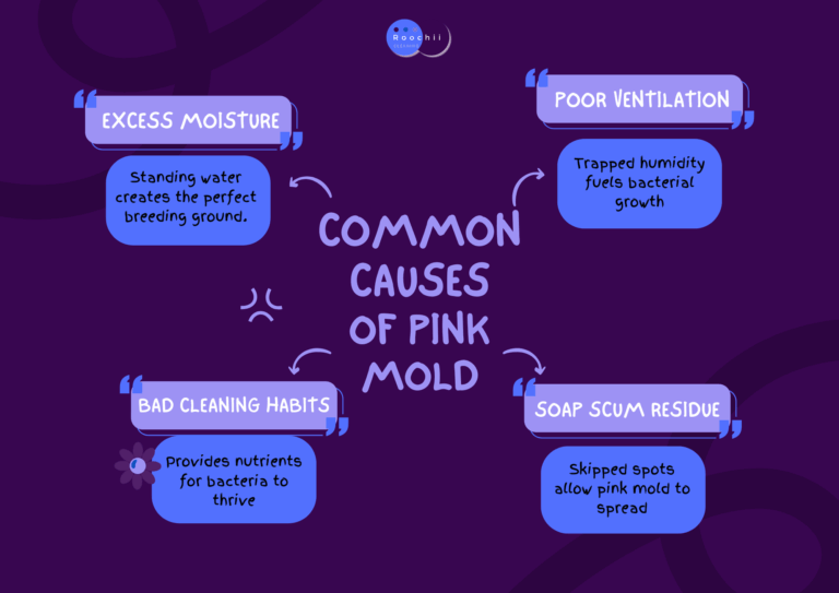 What Is Pink Mold & How To Get Rid Of It | Roochii Cleaning